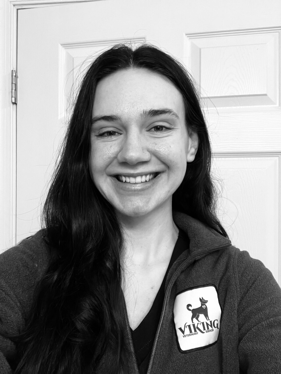 Homepage - Viking Veterinary Services